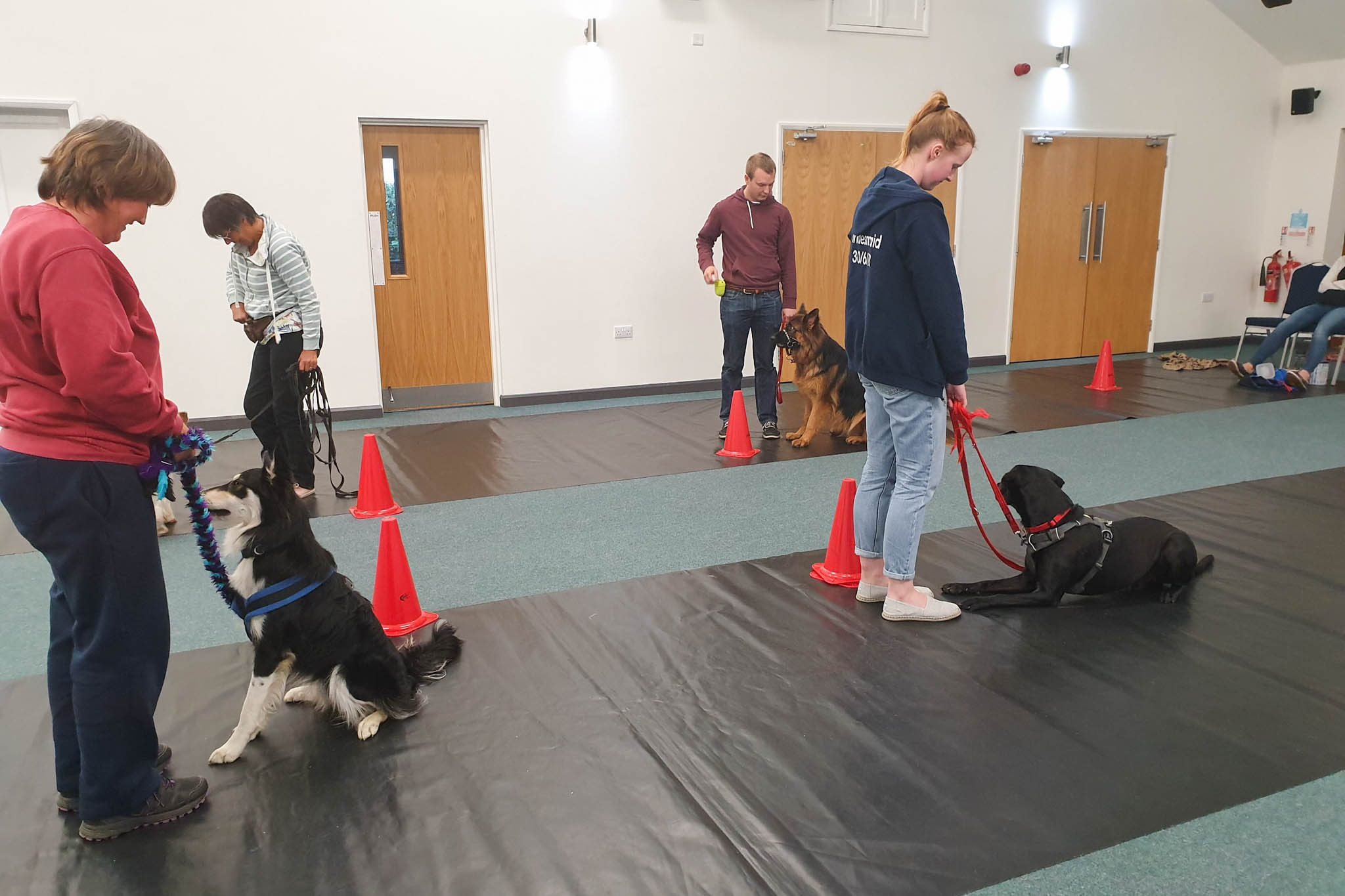 Dog Training Classes Follow My Lead Dog Training Classes Follow My Lead